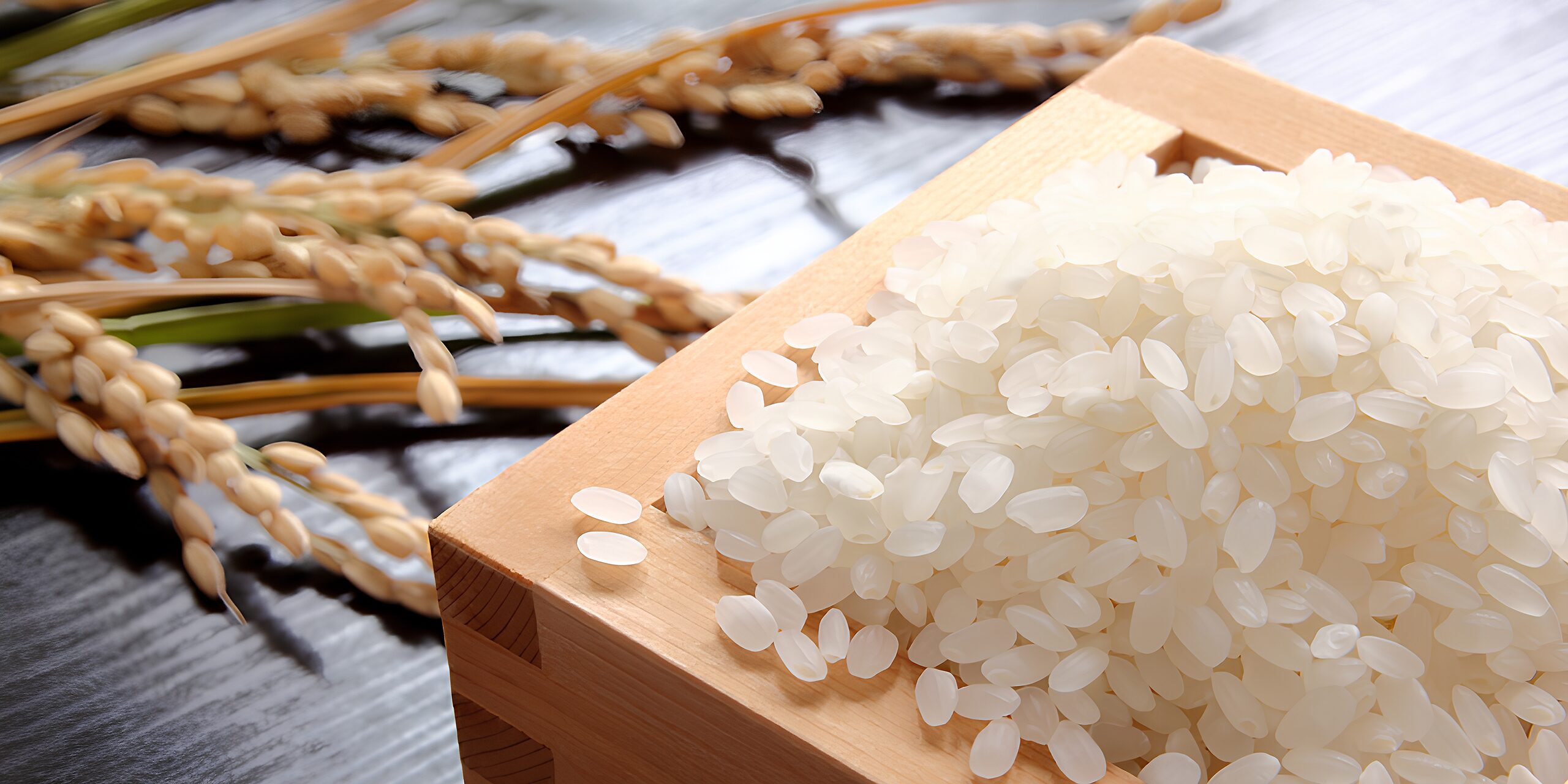 Japan RiceClimate & Production | Japan Rice